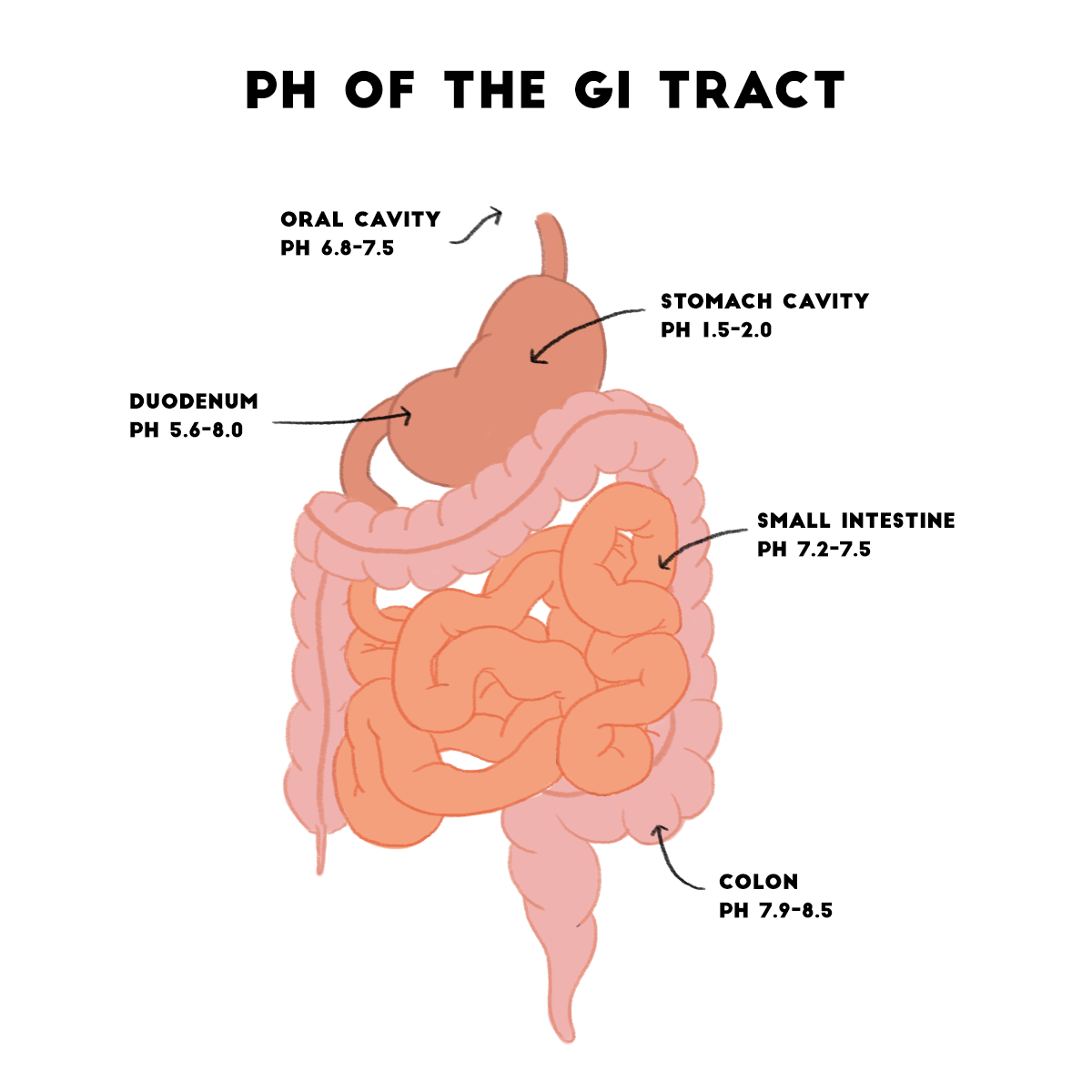 Science for product makers: Why not all small droplets offer quick onset