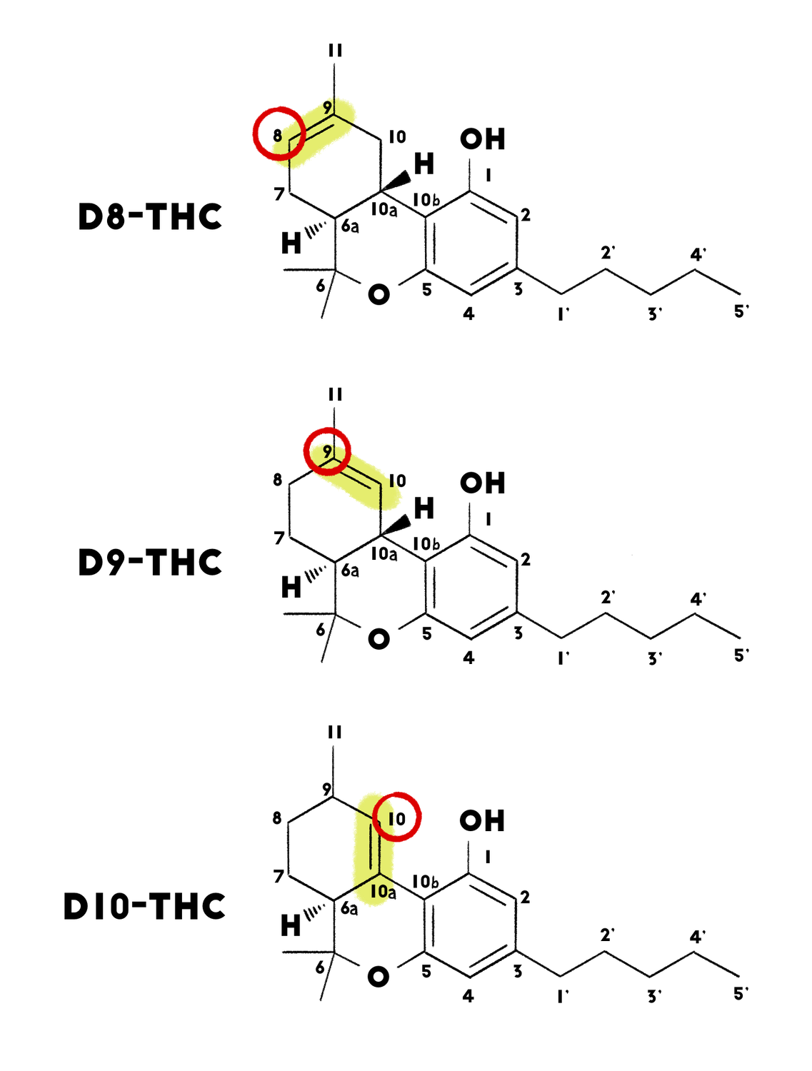 Science for product makers: understanding D8, D9, and D10 THC