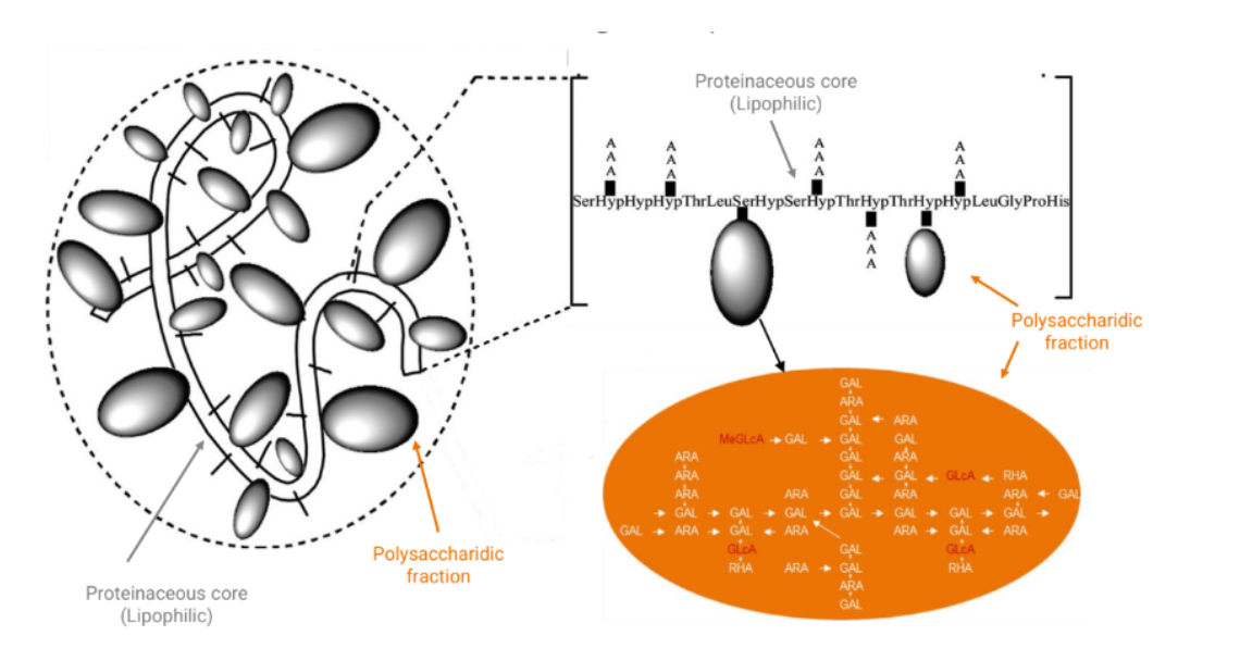 Science for Product Makers - Know your cannabis beverage ingredients ...
