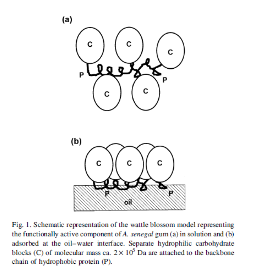 Science for Product Makers - Know your cannabis beverage ingredients ...