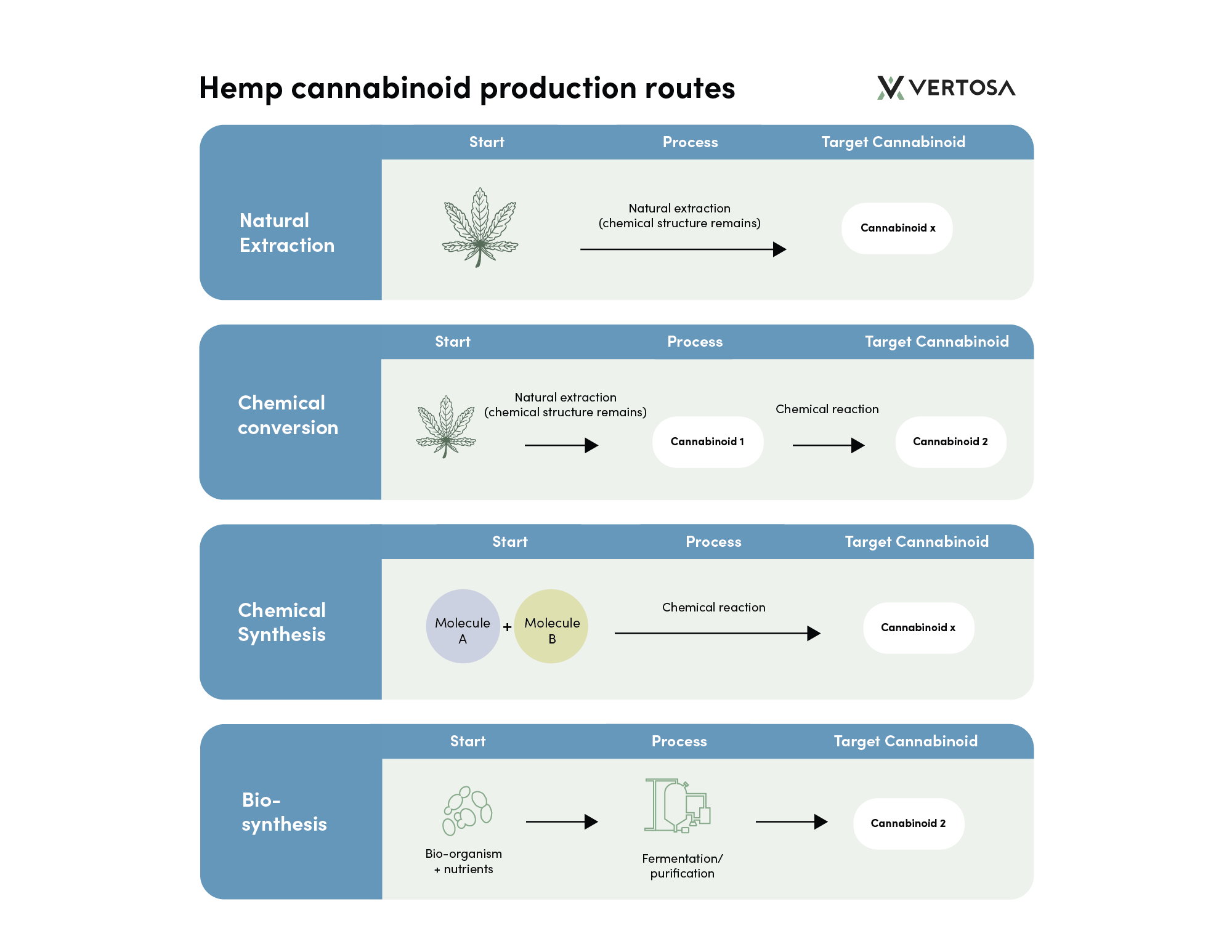 Science for product makers: How hemp cannabinoids are produced