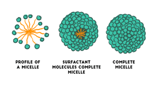 Science for product makers: the difference between micelles, emulsions ...