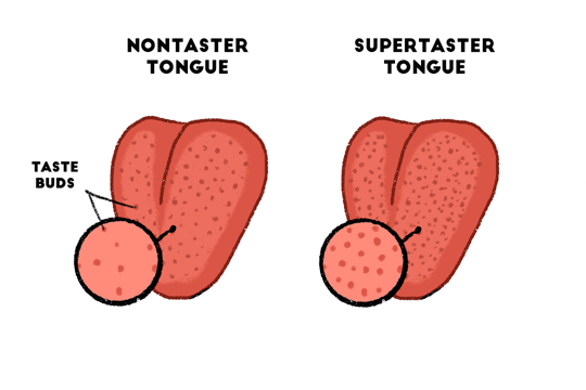 Science for product makers: Why is sensory evaluation so difficult?