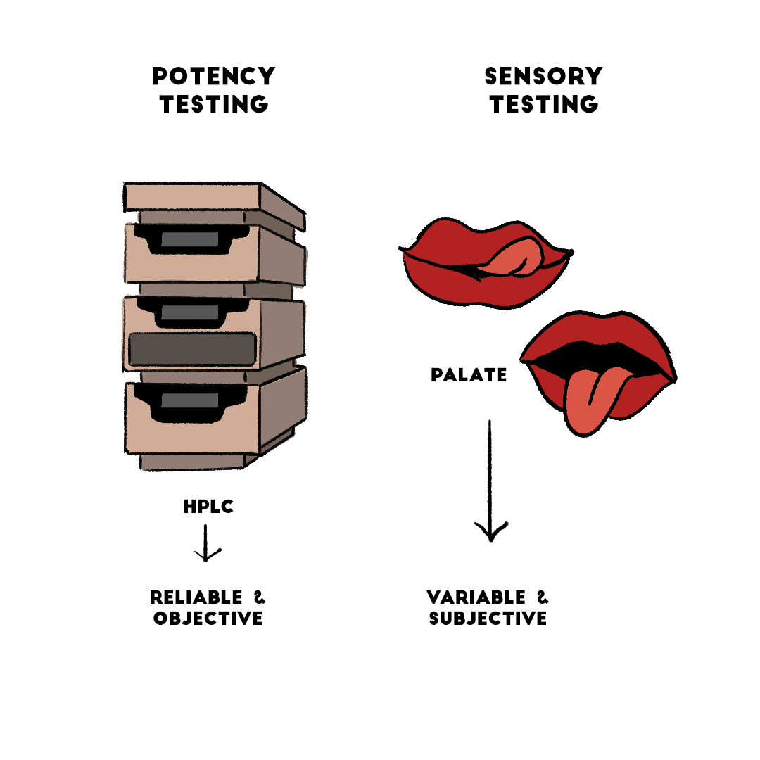 Science for product makers: Why is sensory evaluation so difficult?
